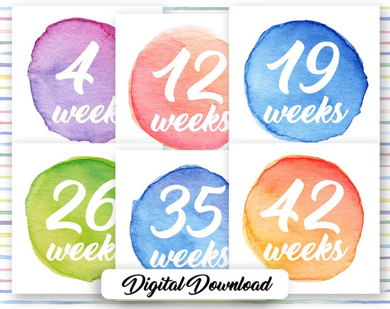 Watercolor Pregnancy Weeks and Milestones 55 Cards | Etsy