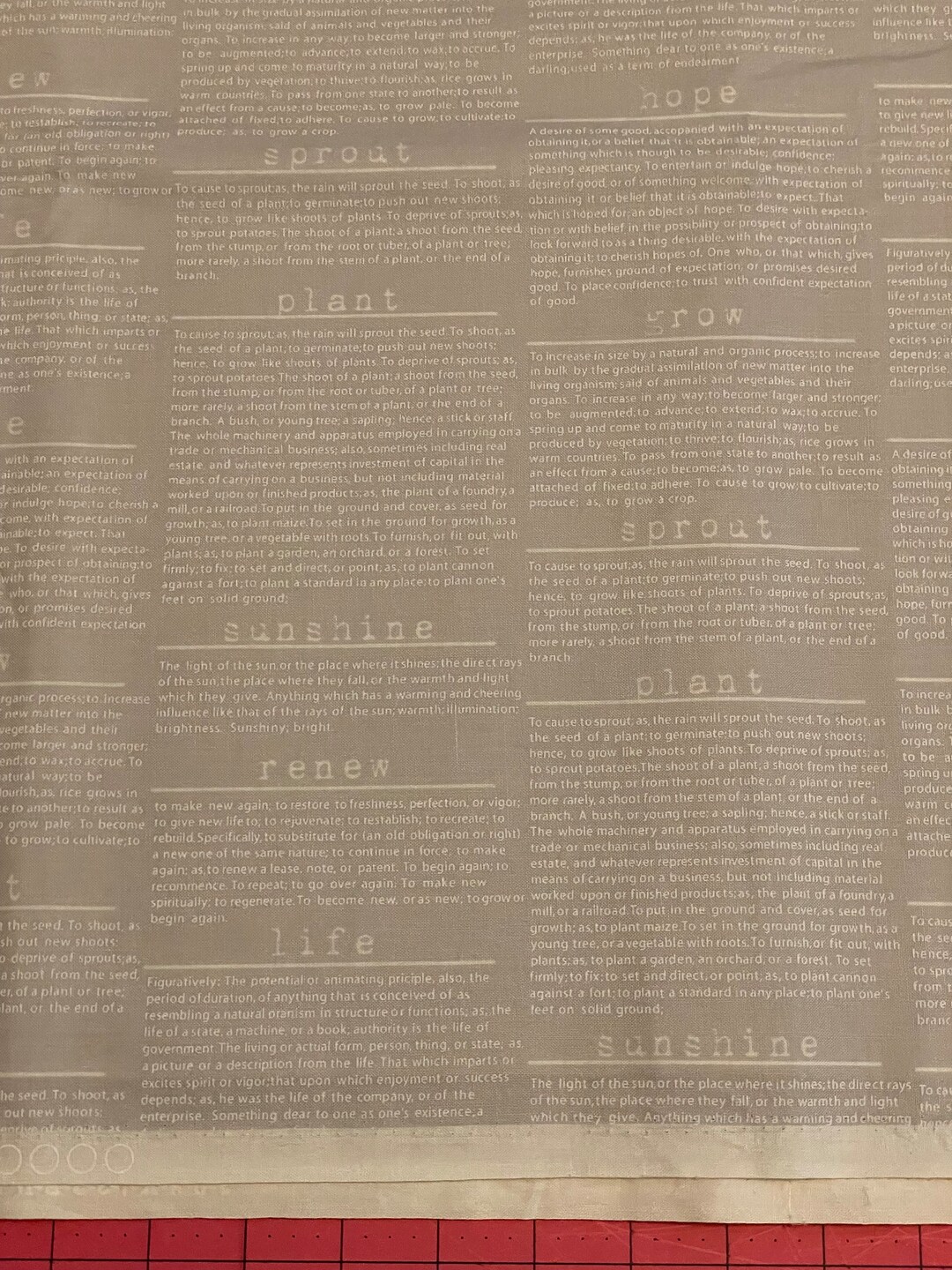 Sunkissed by Sweetwater for Moda Fabrics Grey Definitions by the FQ - Etsy