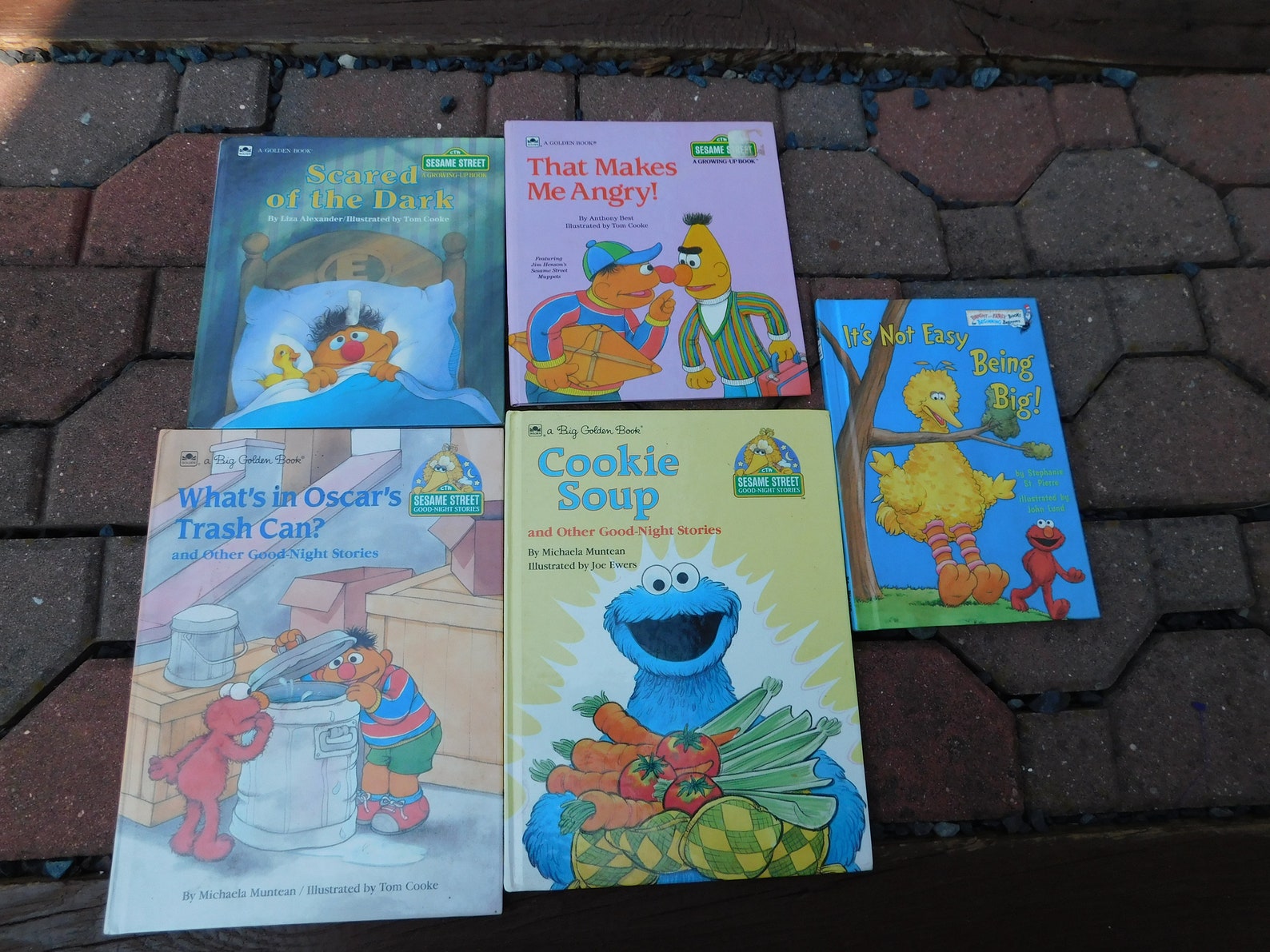Kids Books Childrens Lot of Sesame Street Themed Books | Etsy