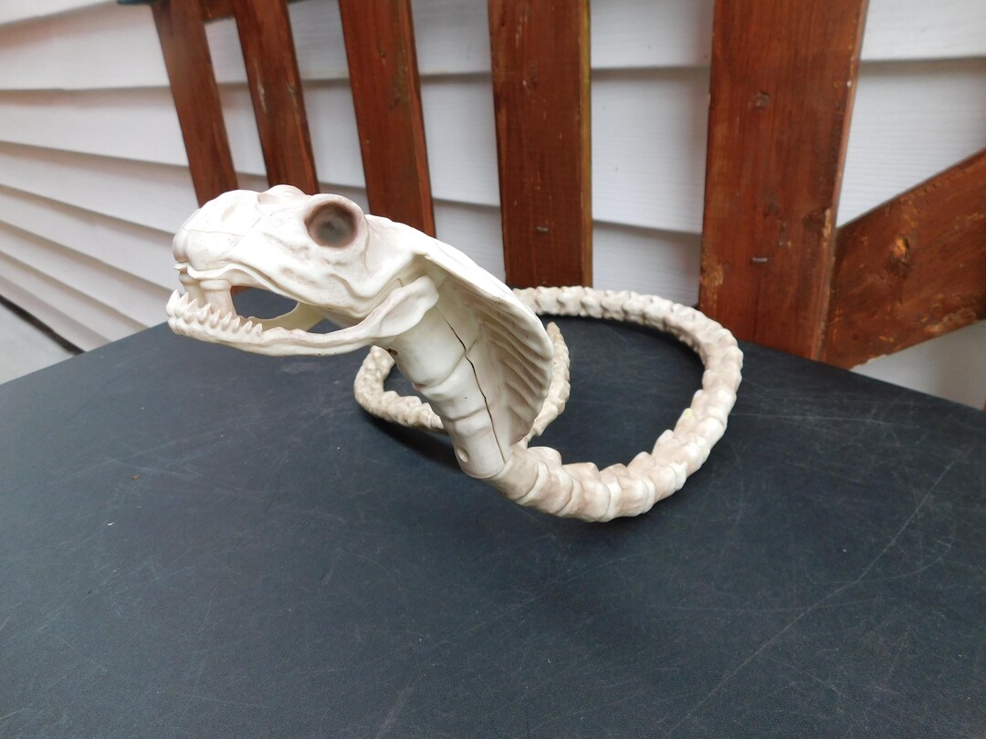 Skeleton Cobra Snake Bones Posable 40" Halloween Prop - Etsy