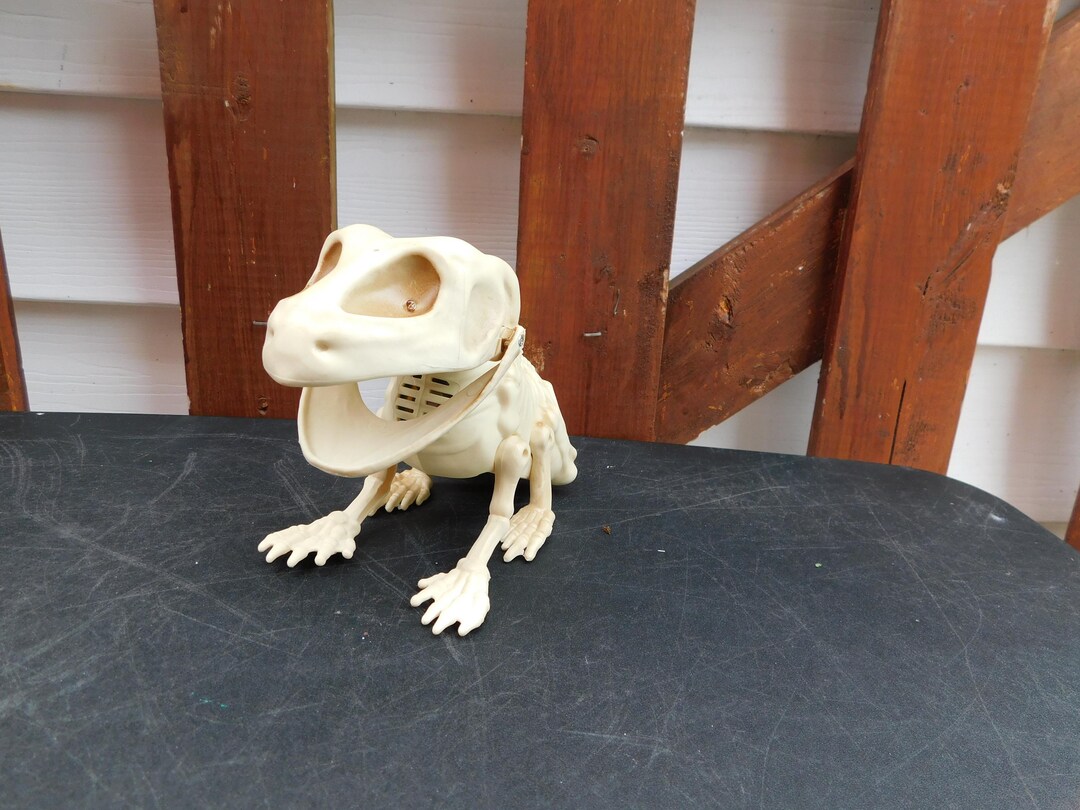 Halloween Animated Skeleton Frog Dead Home Prop Decor Pan Asian - Etsy