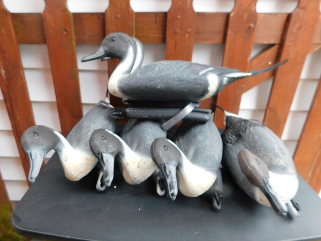 Carry Lite Duck Decoy Pintail Duck Plastic Made in Italy Lot of 6 W ...