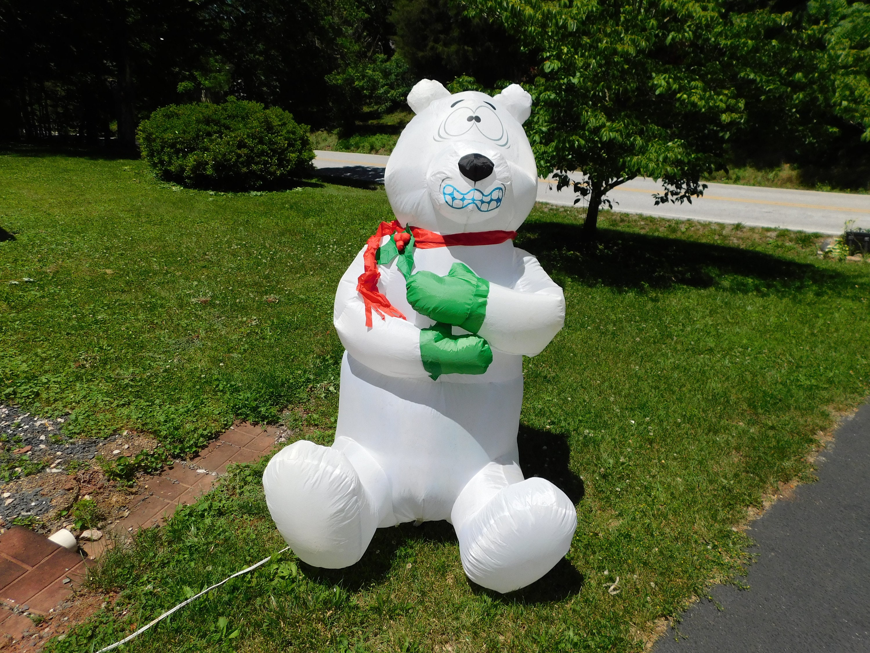 Shivering Polar Bear