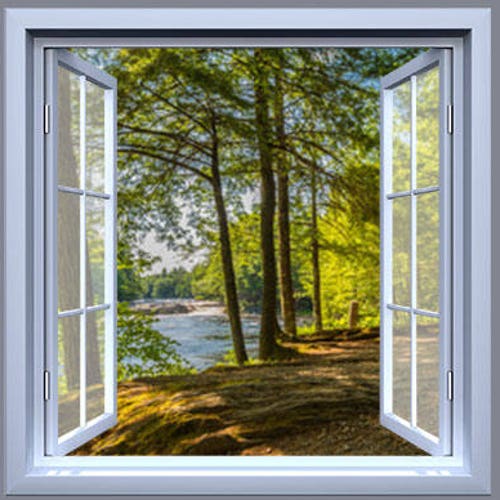 Open Window Wall Vinyl Forest Lake Wall Decor Wall Decal - Etsy