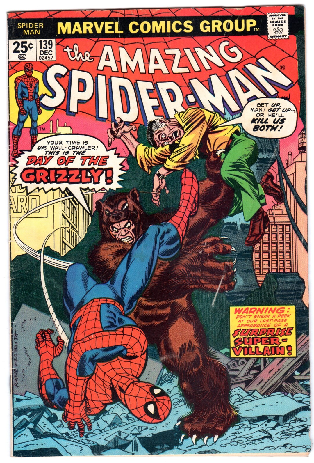 No.2674a 1974 Marvel Pub. Amazing Spider-man Volume 1 - Etsy