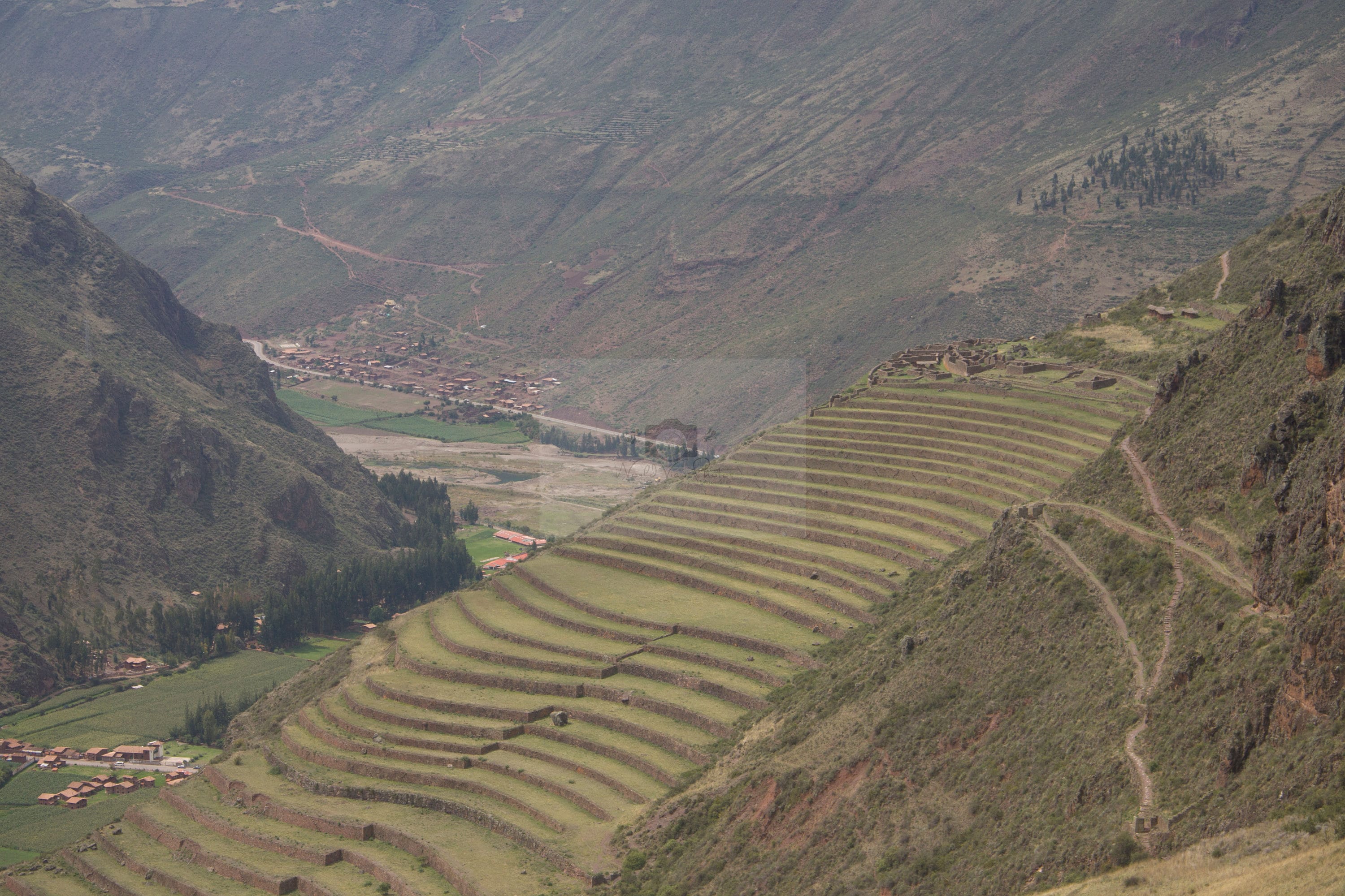 Inca Terrace Farming Andes