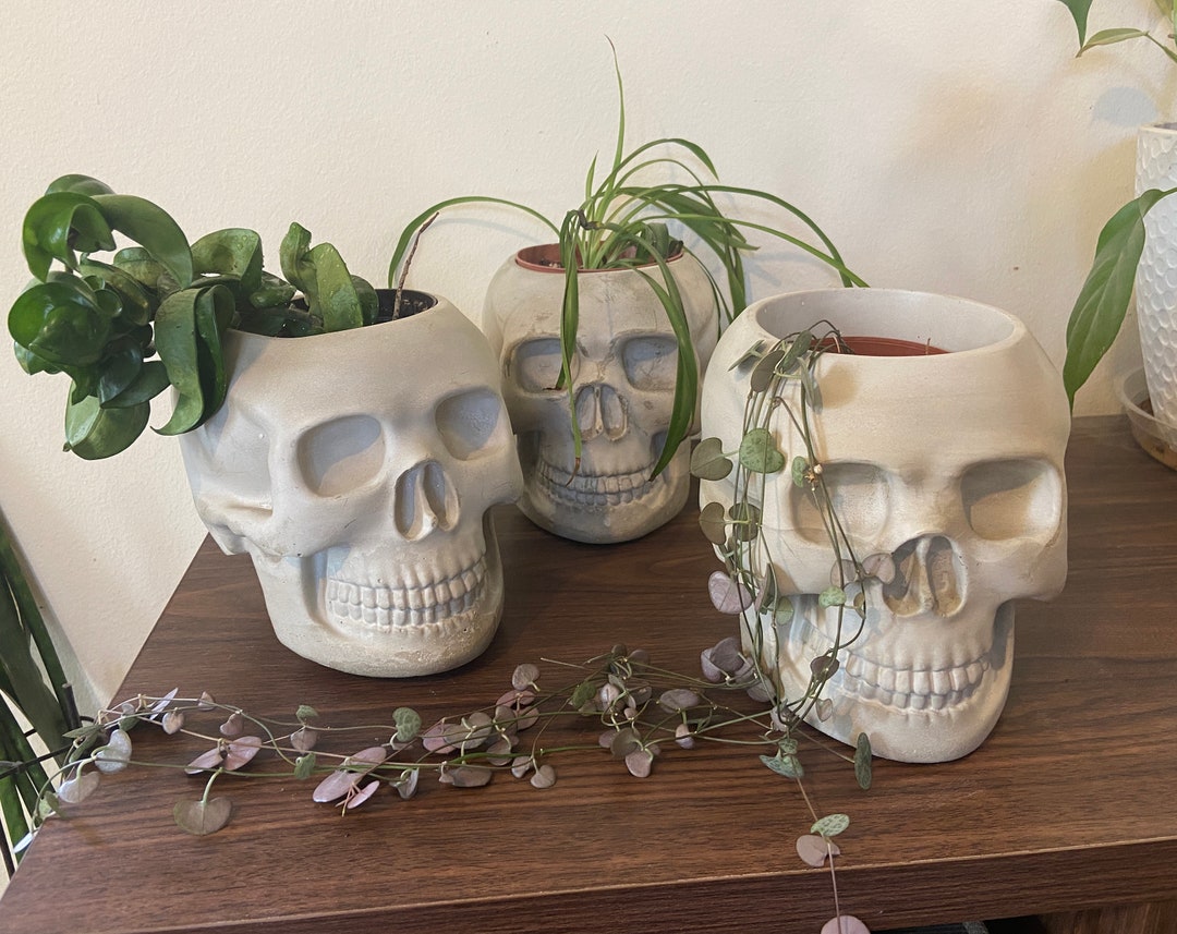 Skull Planter | Concrete | Goth Core | Witchy Decor | Skull Pot ...