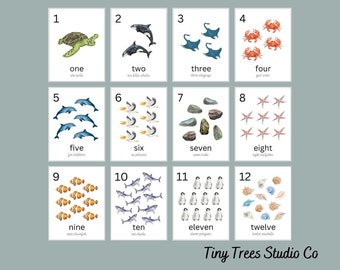 1-20 LAMINATED NUMBER FLASHCARDS, Ocean Animals Number Cards, Preschool ...