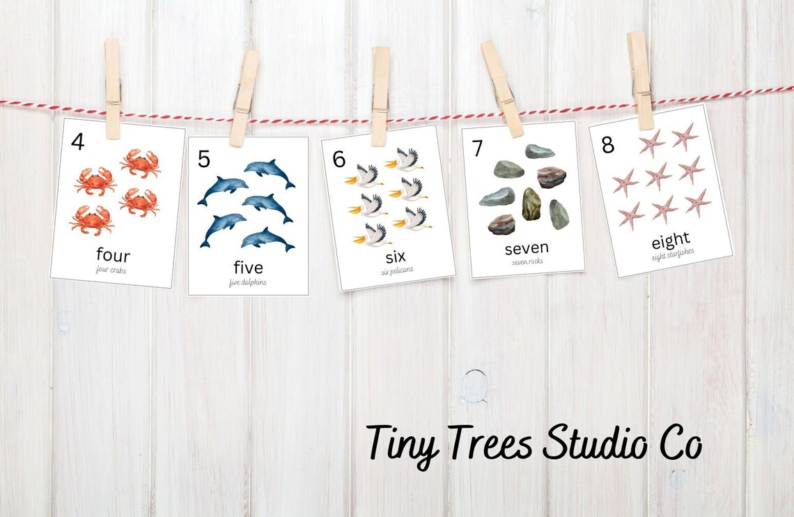 1-20 LAMINATED NUMBER FLASHCARDS, Ocean Animals Number Cards, Preschool ...