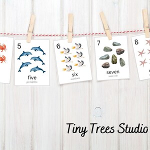 1-20 LAMINATED NUMBER FLASHCARDS, Ocean Animals Number Cards, Preschool ...