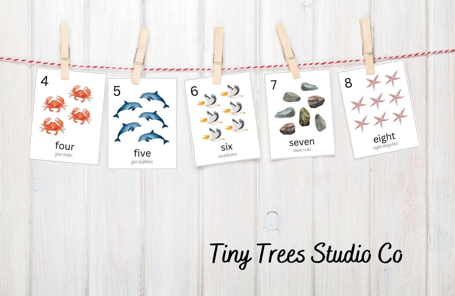 1-20 LAMINATED NUMBER FLASHCARDS, Ocean Animals Number Cards, Preschool ...