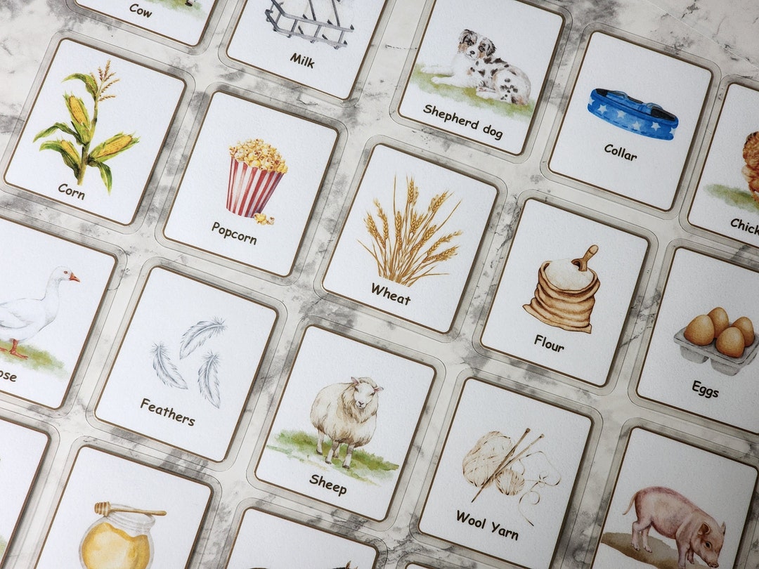 LAMINATED Matching Farm Memory Game, Education Game, School Homeschool ...