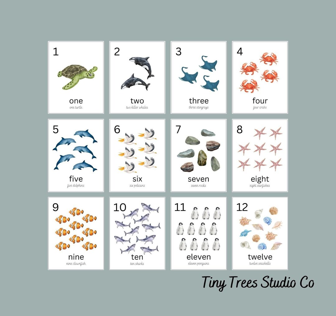 Ocean Animals Number Cards 1-12, Digital Download, Preschool Homeschool ...