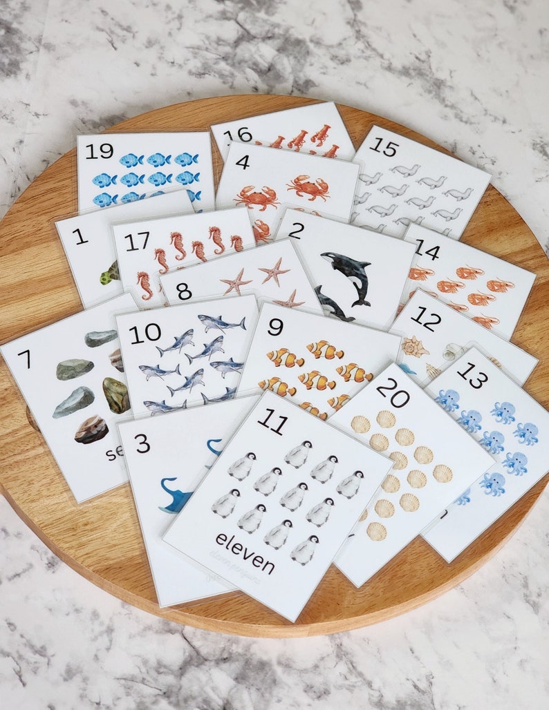1-20 LAMINATED NUMBER FLASHCARDS, Ocean Animals Number Cards, Preschool ...