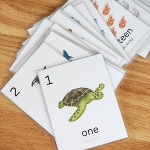 1-20 LAMINATED NUMBER FLASHCARDS, Ocean Animals Number Cards, Preschool ...