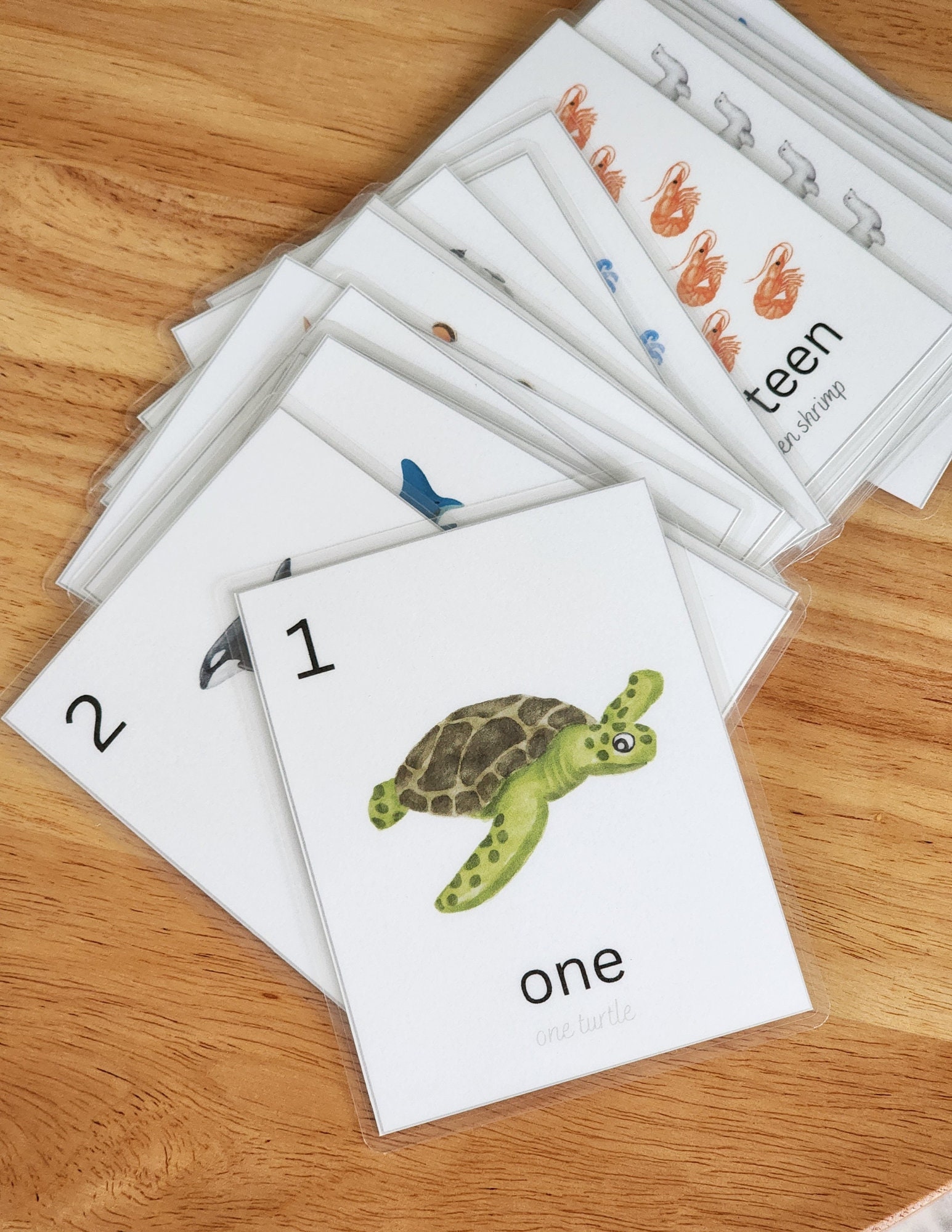 1-20 LAMINATED NUMBER FLASHCARDS, Ocean Animals Number Cards, Preschool ...