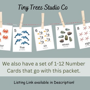 1-12 Number Tracing Activities Bundle, Preschool and Kindergarten ...