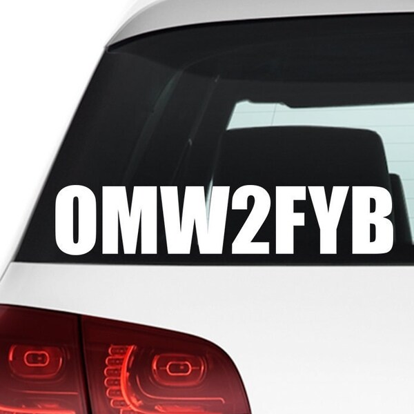 Funny Car Decal - Etsy