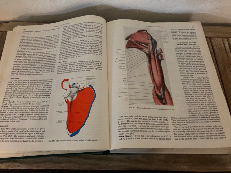 Vintage Book Titled Cunningham's Textbook of Anatomy Oxford University ...