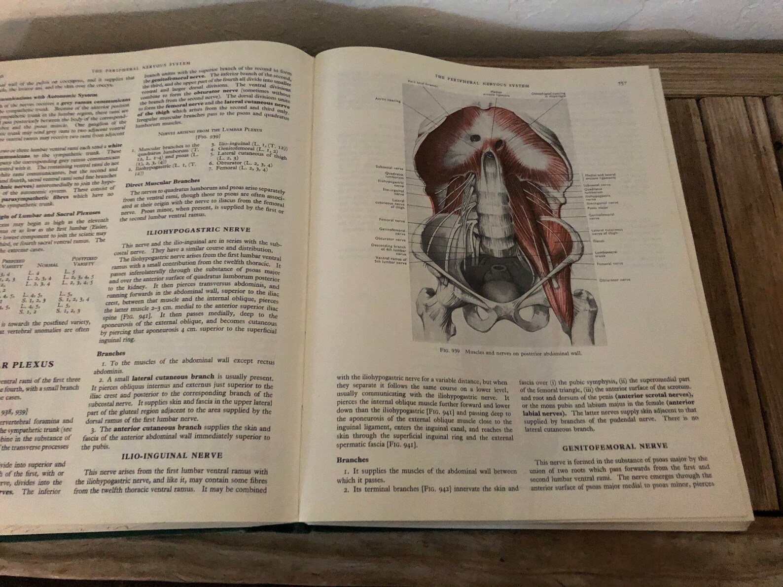 Vintage Book Titled Cunningham's Textbook of Anatomy Oxford University ...