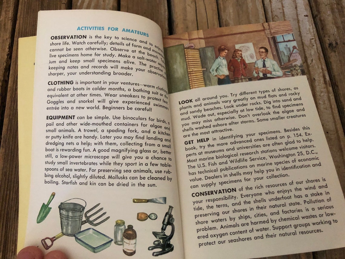 Vintage Golden Nature Guide Book Titled Seashores A Guide to - Etsy