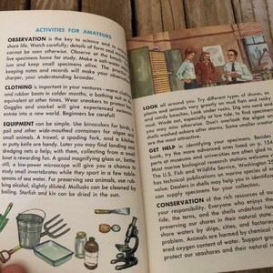 Vintage Golden Nature Guide Book Titled Seashores A Guide to Shells ...