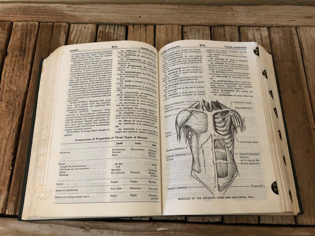 Vintage Book Titled Taber's Cyclopedic Medical Dictionary - Etsy