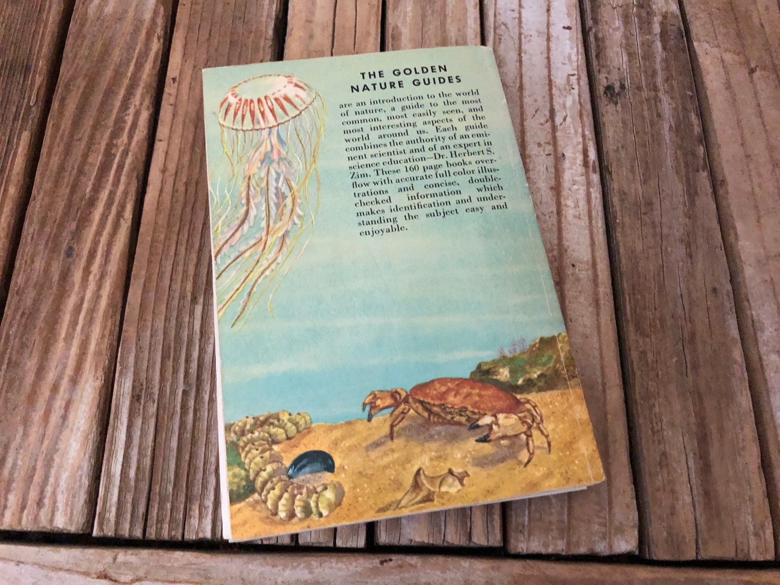 Vintage Golden Nature Guide Book Titled Seashores A Guide to - Etsy