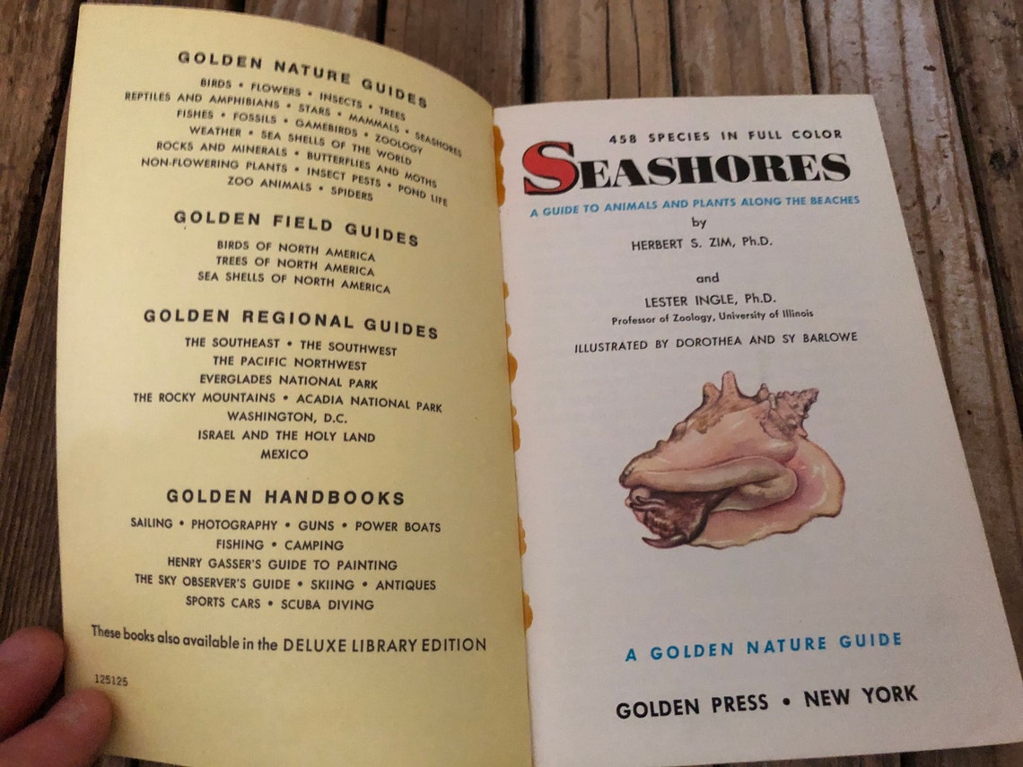 Vintage Golden Nature Guide Book Titled Seashores A Guide to - Etsy