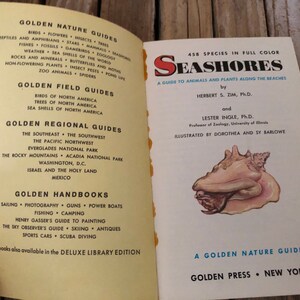 Vintage Golden Nature Guide Book Titled Seashores A Guide to Shells ...