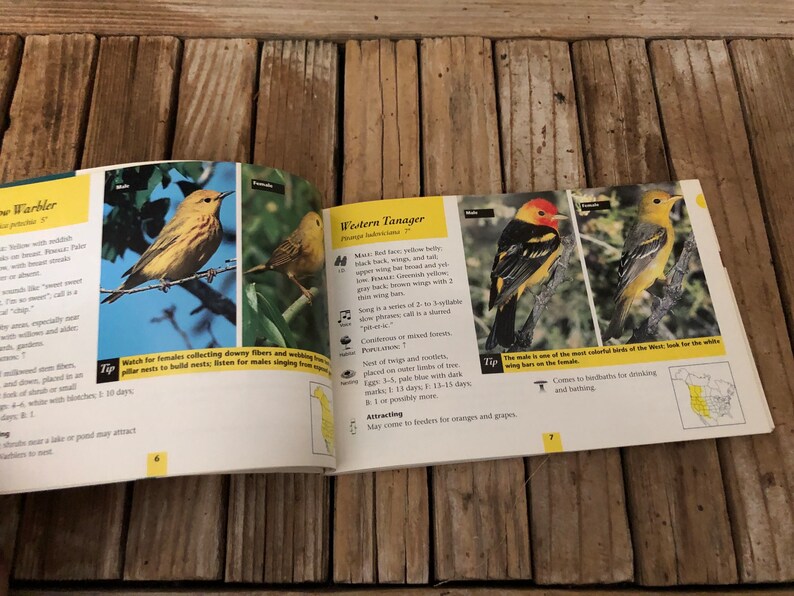 Vintage Book Titled Beginner's Guide to Birds Western Region - Etsy
