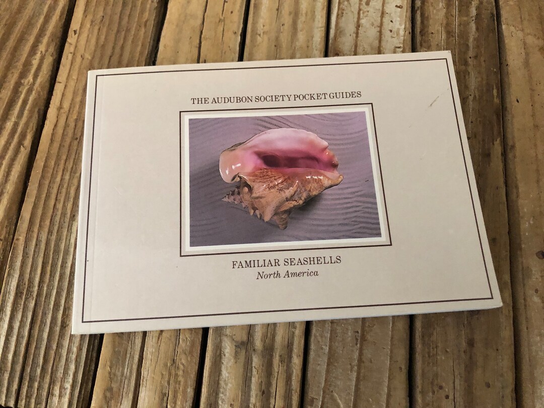 Vintage Book Titled Familiar Seashells North America the Audubon ...