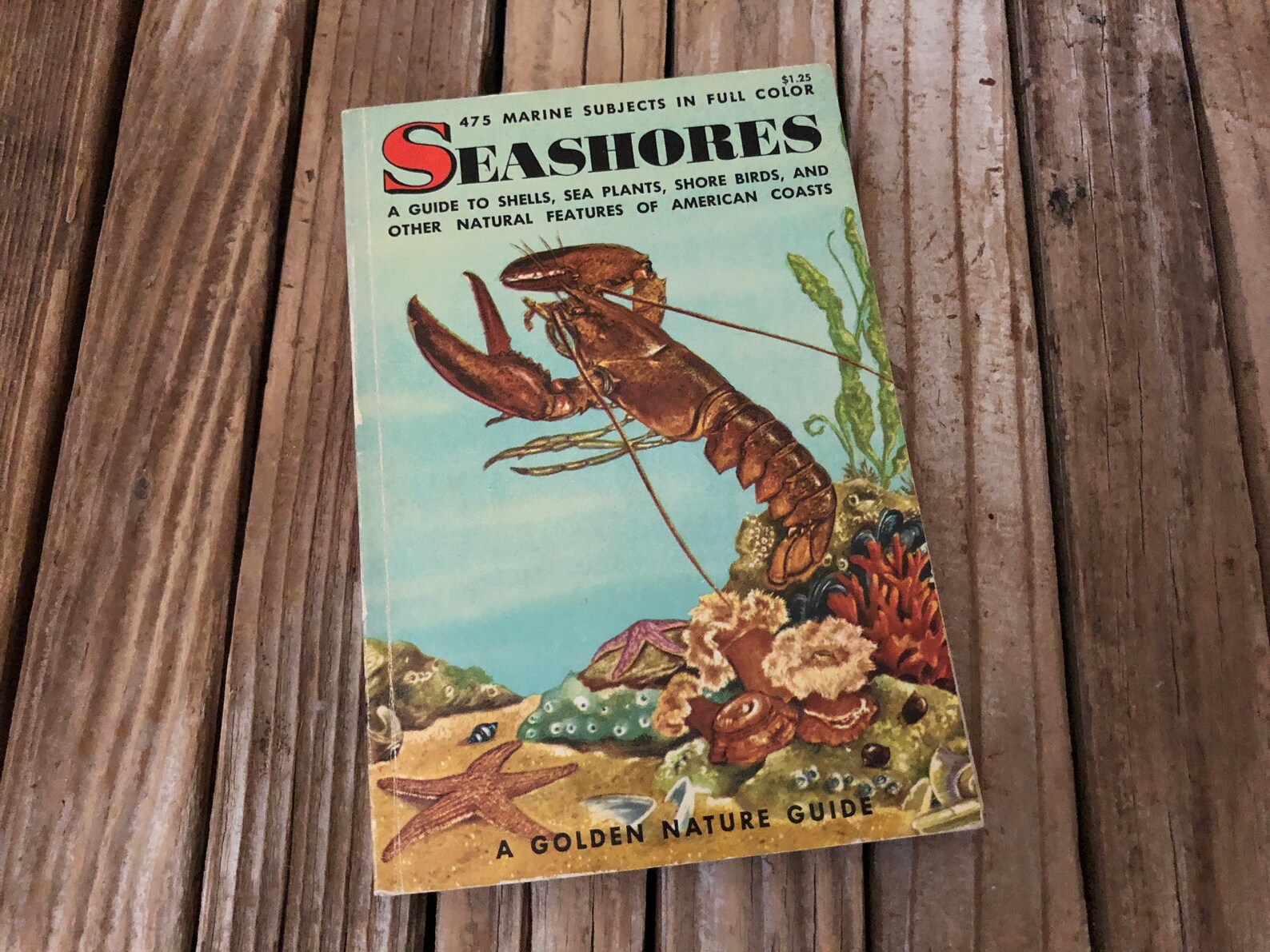 Vintage Golden Nature Guide Book Titled Seashores A Guide to - Etsy