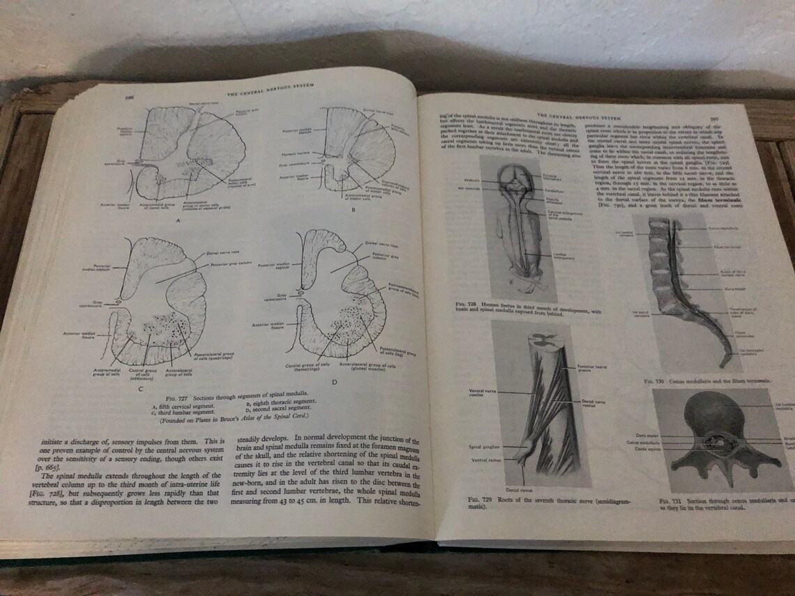 Vintage Book Titled Cunningham's Textbook of Anatomy Oxford University ...