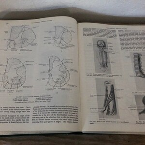 Vintage Book Titled Cunningham's Textbook of Anatomy Oxford University ...