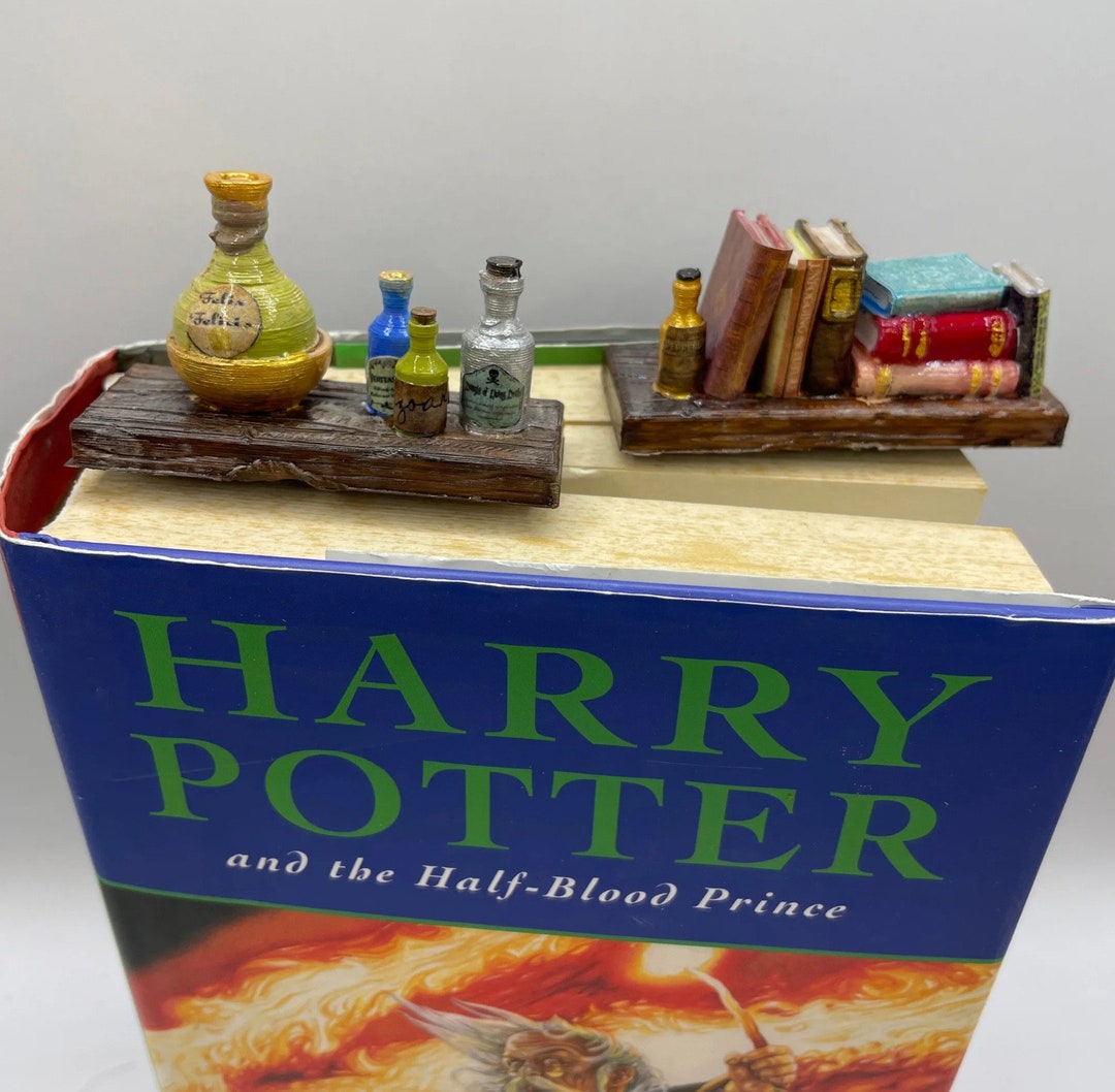 Potion Bottle Shelf or Spellbook Shelf Oversized Bookmark - Etsy