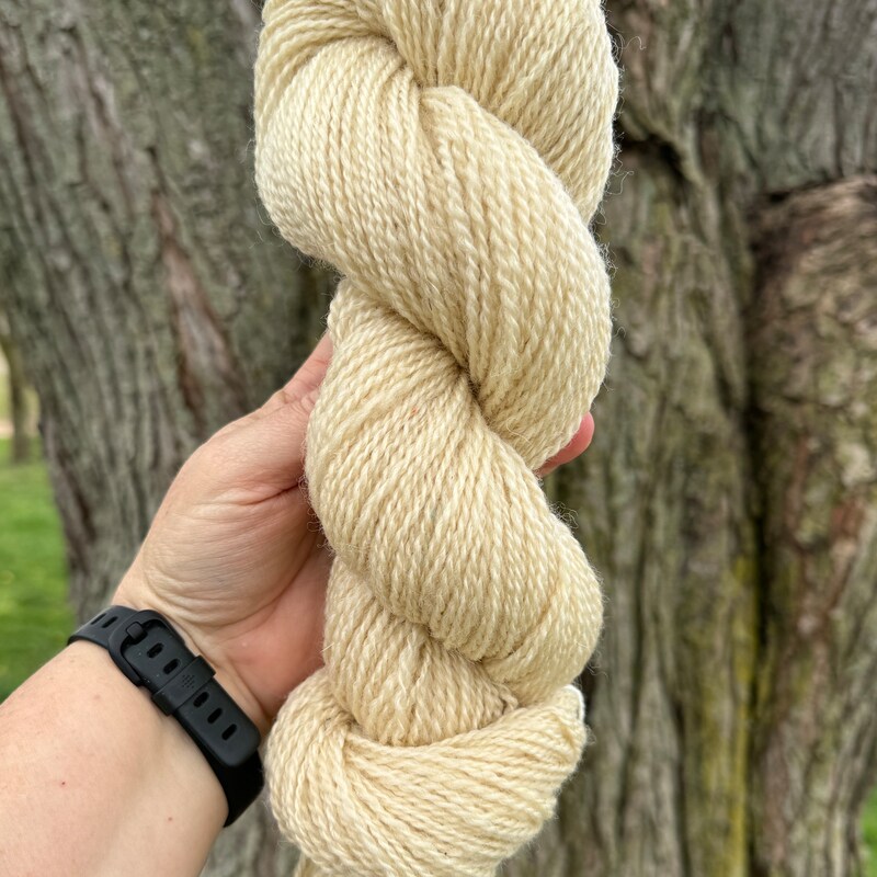 MittenStateWool - Etsy