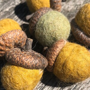 Wool Acorn Felt Kit - Etsy