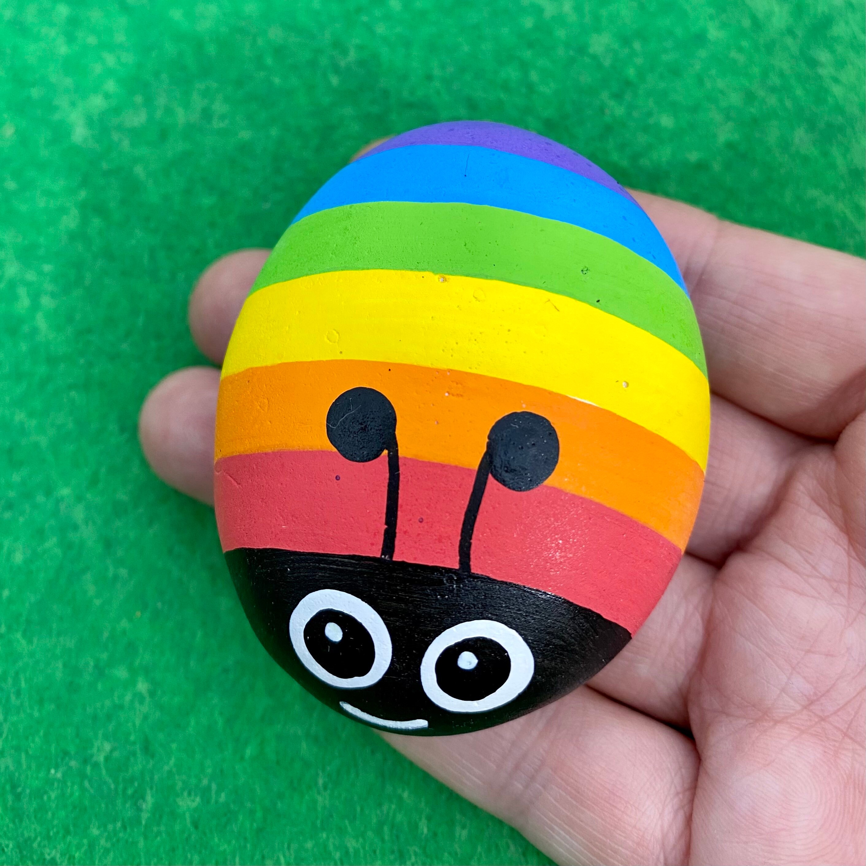 Personalised rockee Rainbow Bug Pebble Hand Painted | Etsy UK