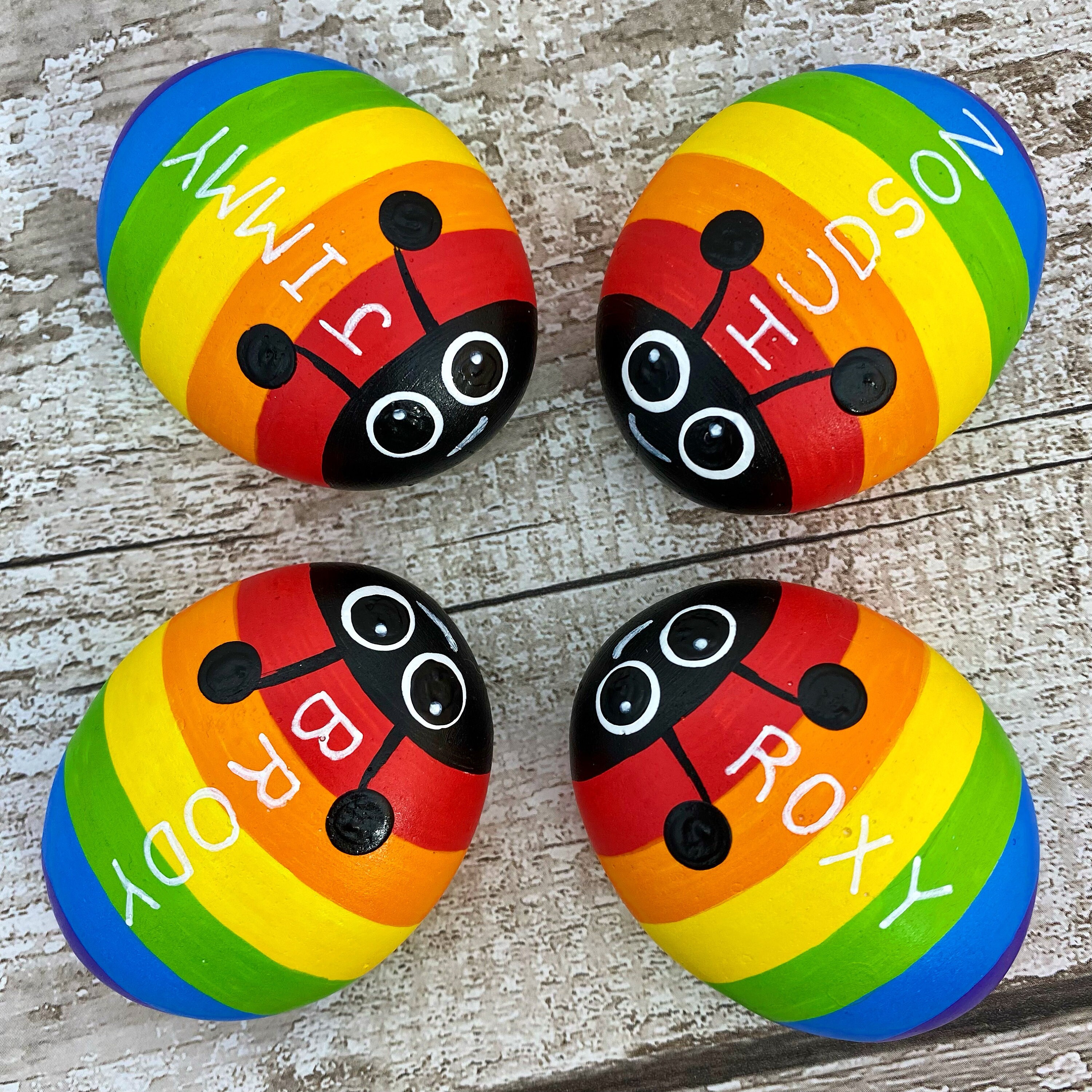 Personalised rockee Rainbow Bug Pebble Hand Painted Ceramic - Etsy Canada