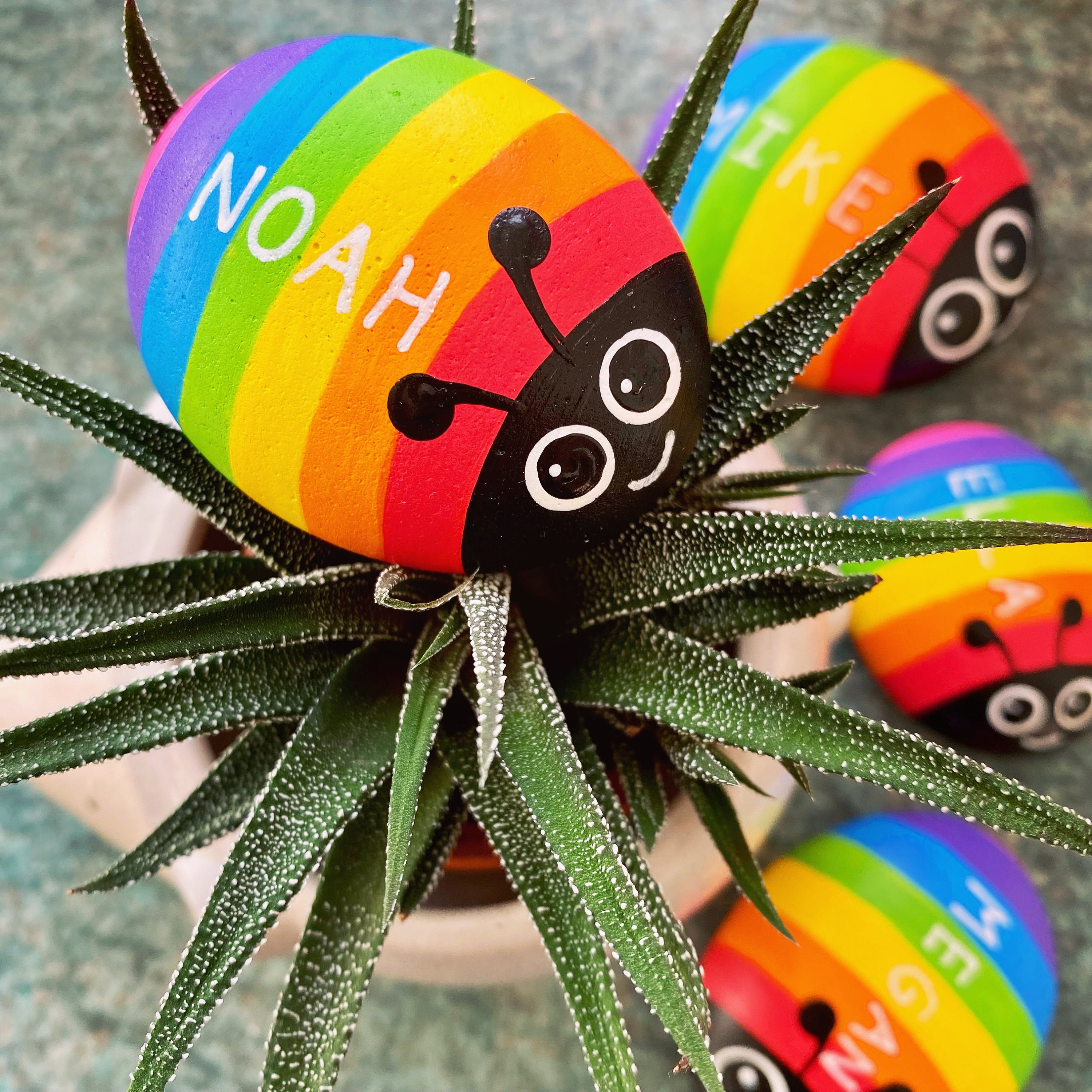 Personalised rockee Rainbow Bug Pebble Hand Painted Ceramic - Etsy Canada