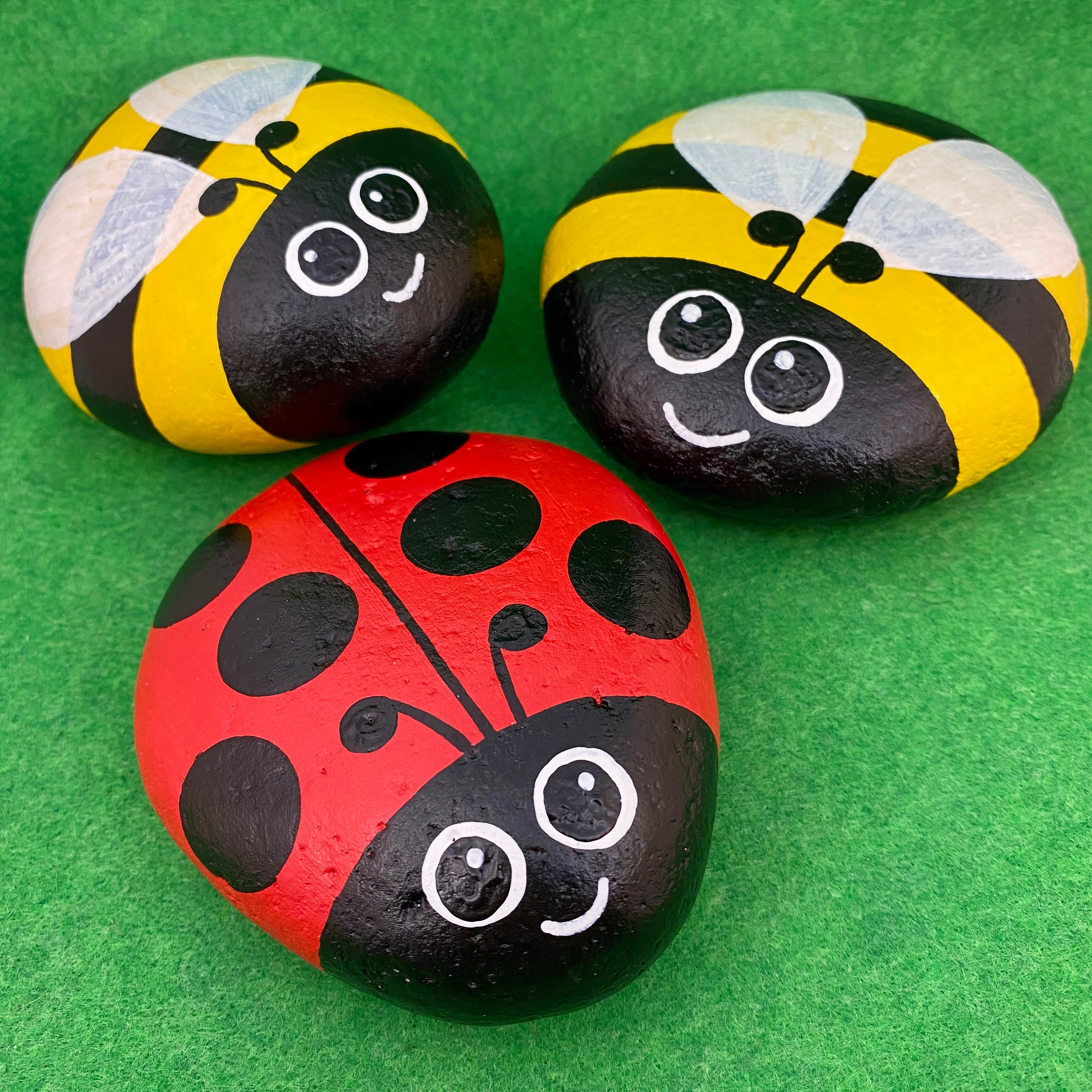Giant Ladybug Rock hand painted and personalised stone | Etsy