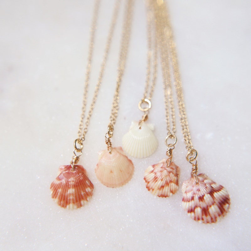 Sea Shell Wire Wrap - Etsy