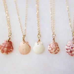 One-of-a-kind Calico Sea Shell Wire Wrapped Necklace - Etsy