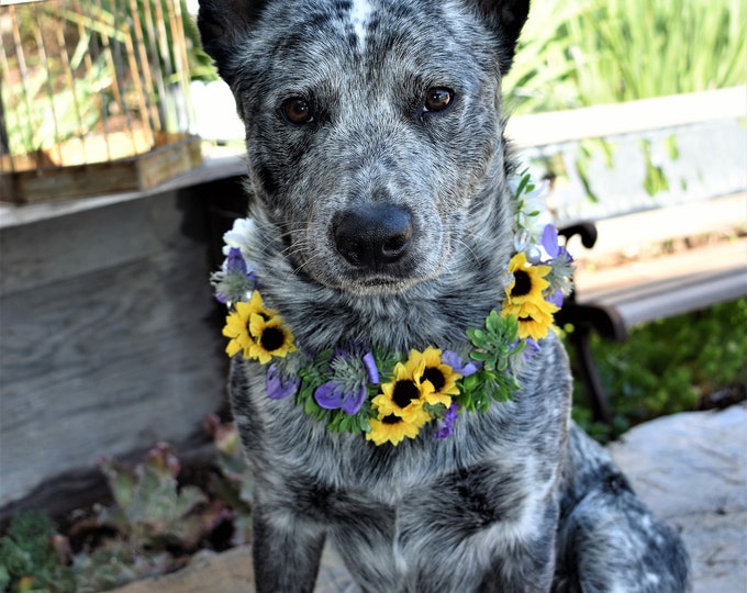 Dog Crown, Flower Crown, Silk Flower Crown, Dog Photo Prop, Dog Puppy ...
