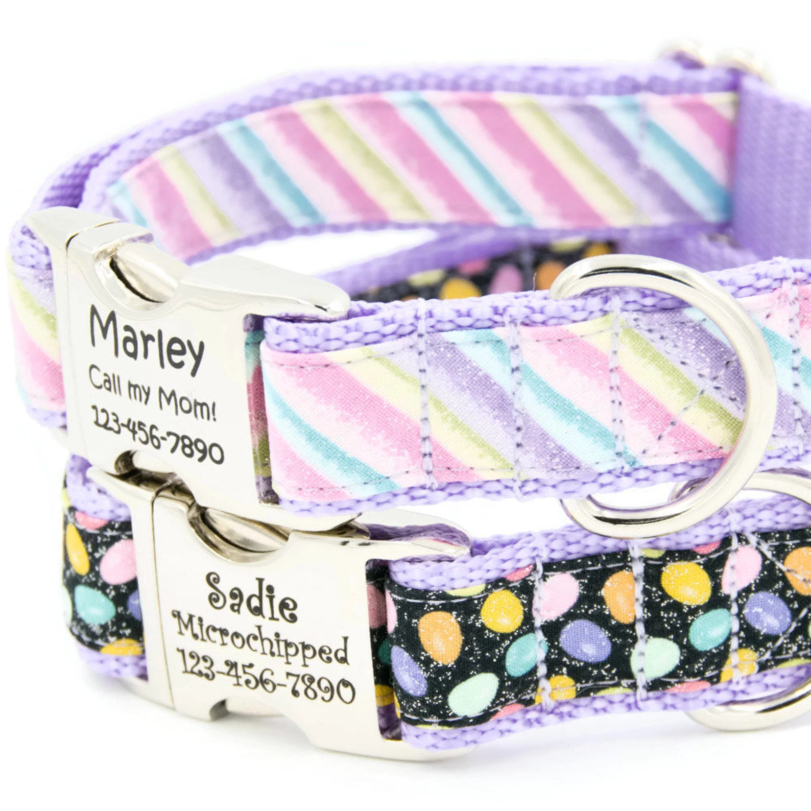 Spring Dog Collars With Laser Engraved Pet ID / Personalized - Etsy