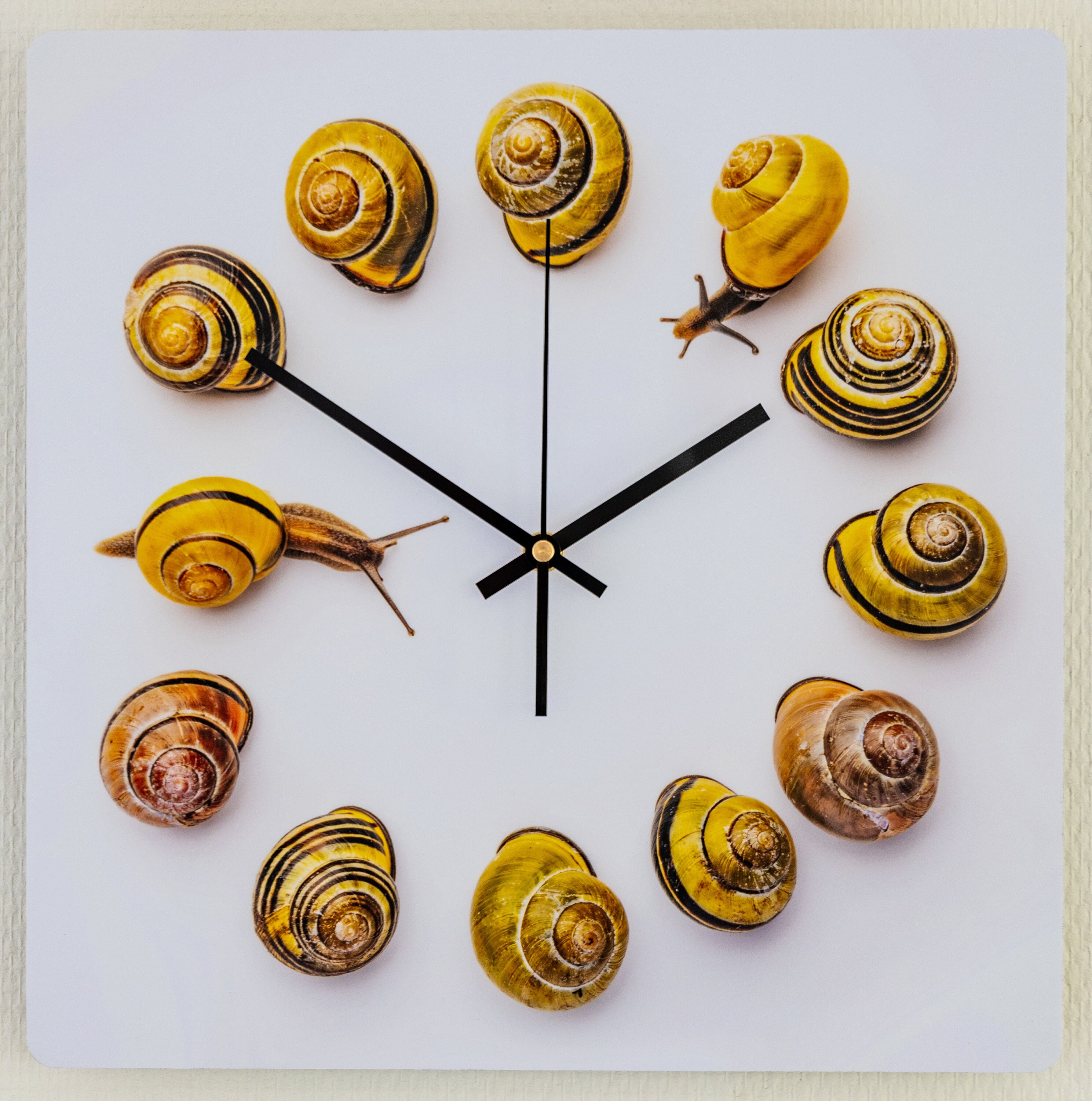 A Beautiful and Decorative Analog Wall Clock With a Picture of - Etsy