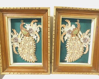 Shell Pictures Art - Etsy