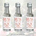 Drunk in Love Champagne Labels, Bachelorette Party Favor Stickers ...