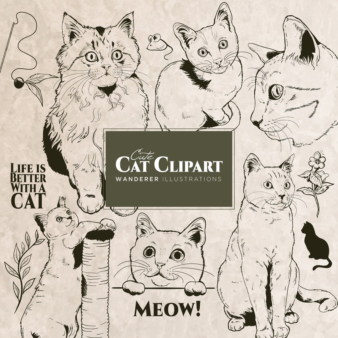 Hand Drawn Cat Clipart, Cat Prints, Commercial Use, Cats Decor Vector ...
